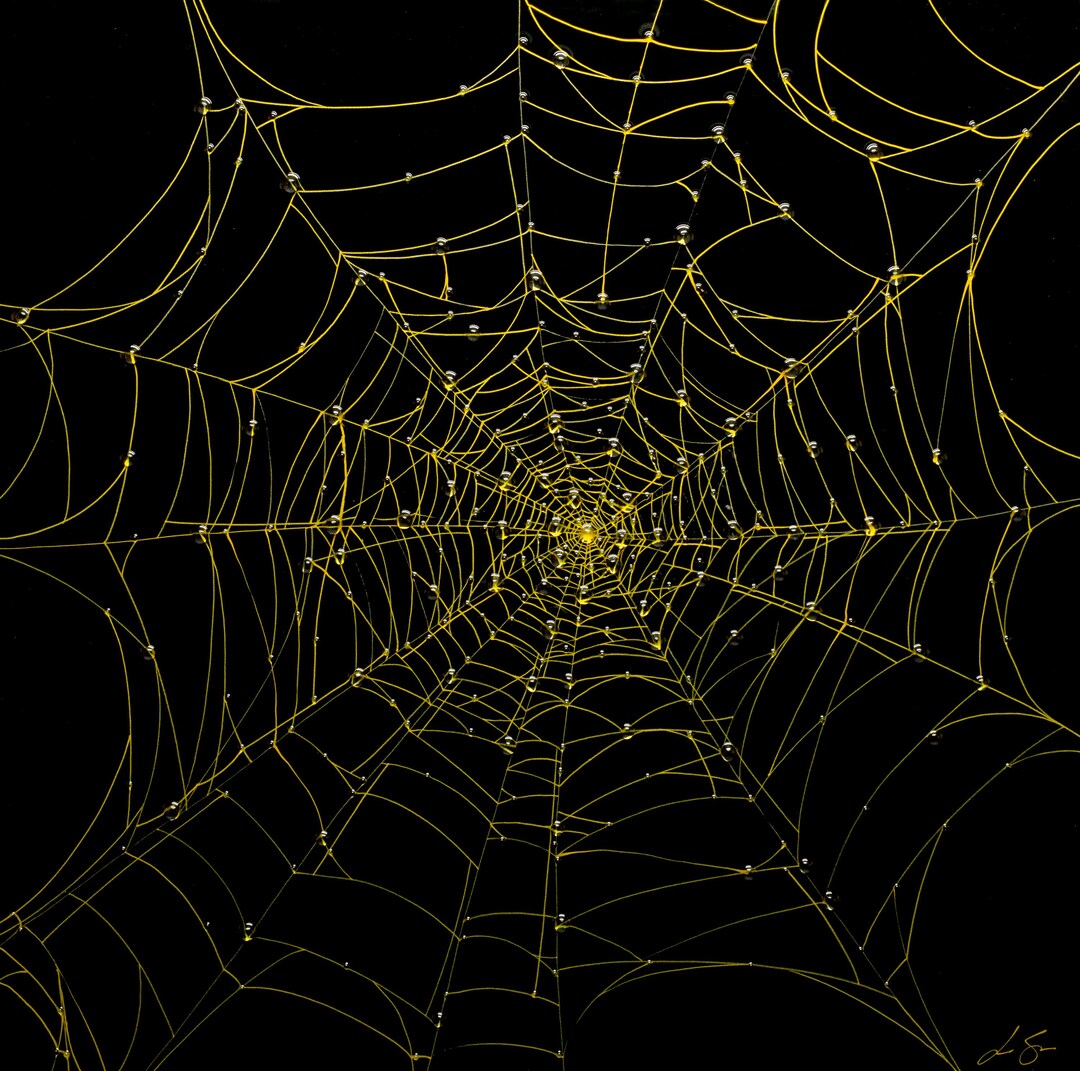 Halloween Spider Web Original Painting, Spider Web Art, Morning Dew ...