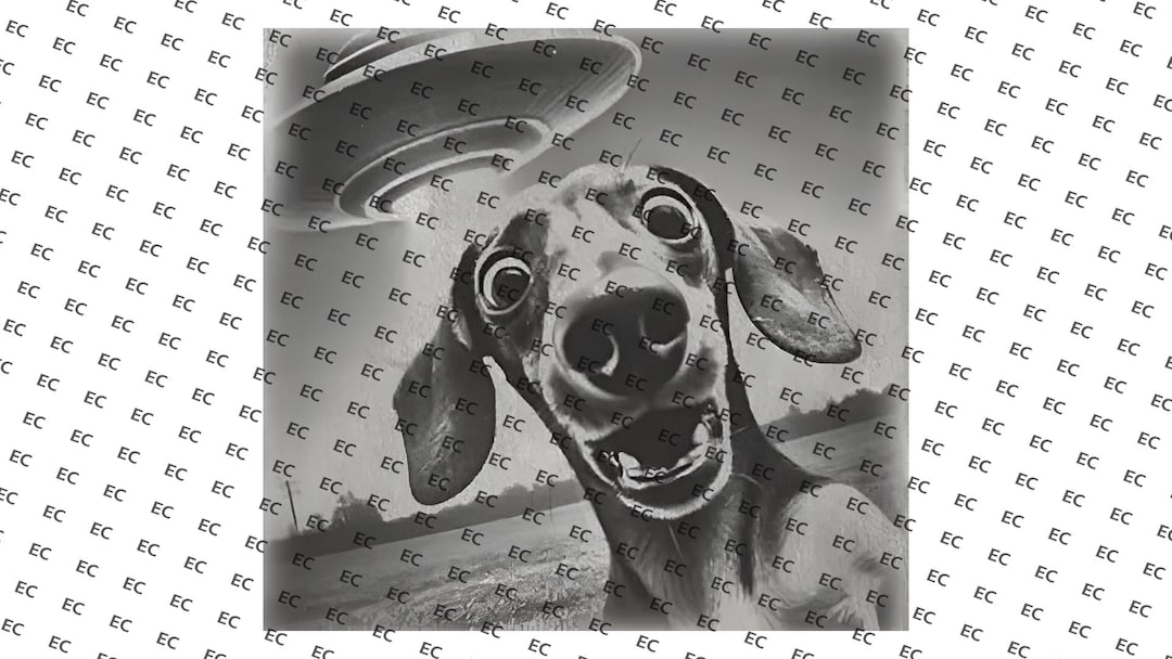 Sausage Dog With Alien UFO PNG - Etsy