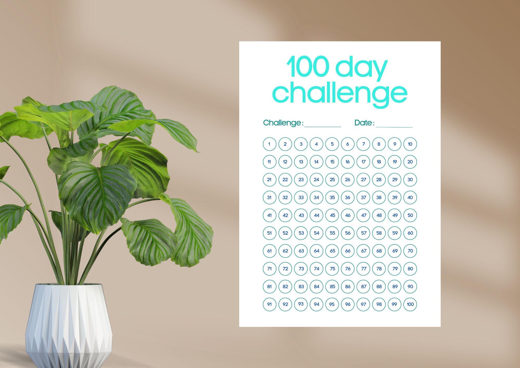 100 Day Challenge Organiser Chart, Poster, Timetable, Visual, Plan ...