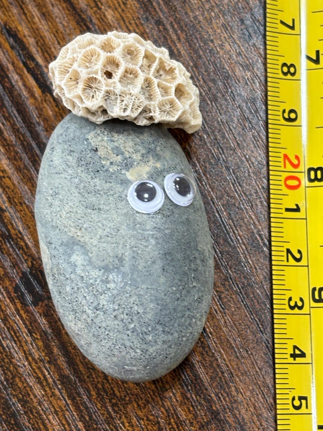 DESK BUDDY! Lost My Mind Desk Buddy to Keep You Company While You Toil ...