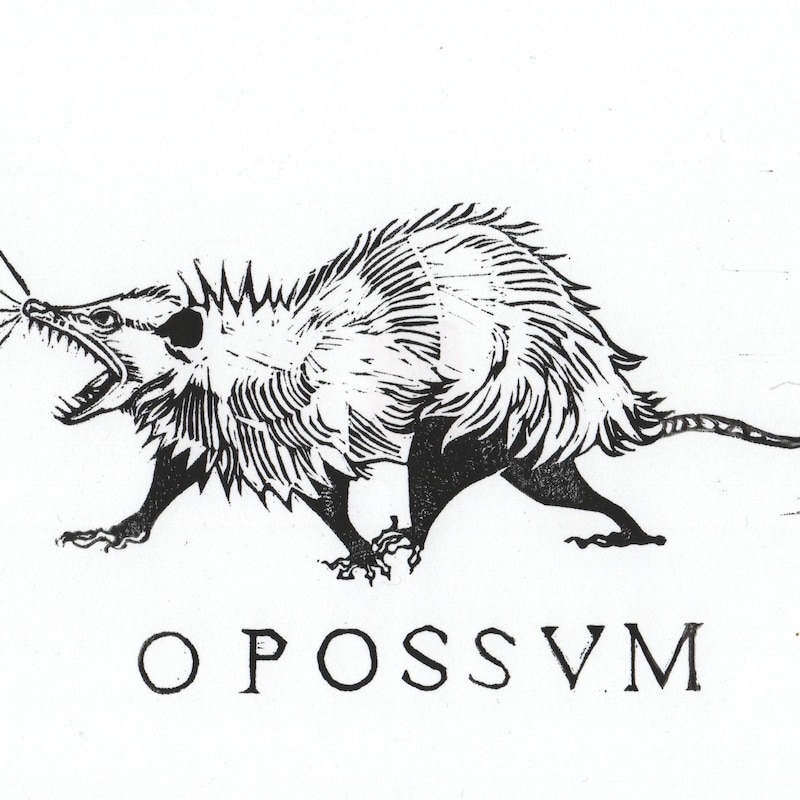 Opossum Linocut - Etsy