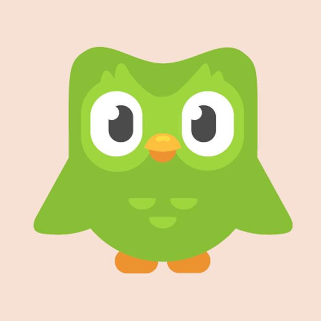 Duolingo Owl for 3D Printer | STL File | Fun Duolingo-inspired Figurine ...