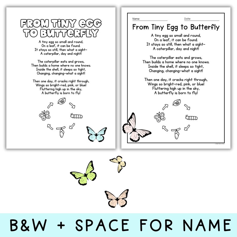 Butterfly Life Cycle Poem: Reading Comprehension Activity for 1st-2nd ...