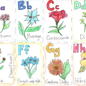 Children's Sow and Grow Alphabet Garden, Gardening With Kids, Crafting ...