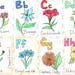 Children's Sow and Grow Alphabet Garden, Gardening With Kids, Crafting ...