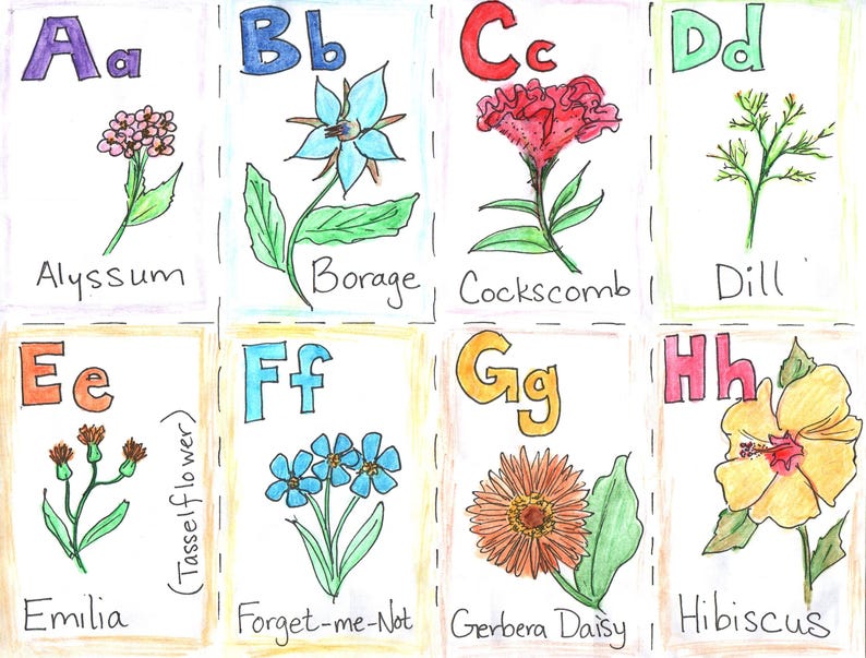 Children's Sow and Grow Alphabet Garden, Gardening With Kids, Crafting ...