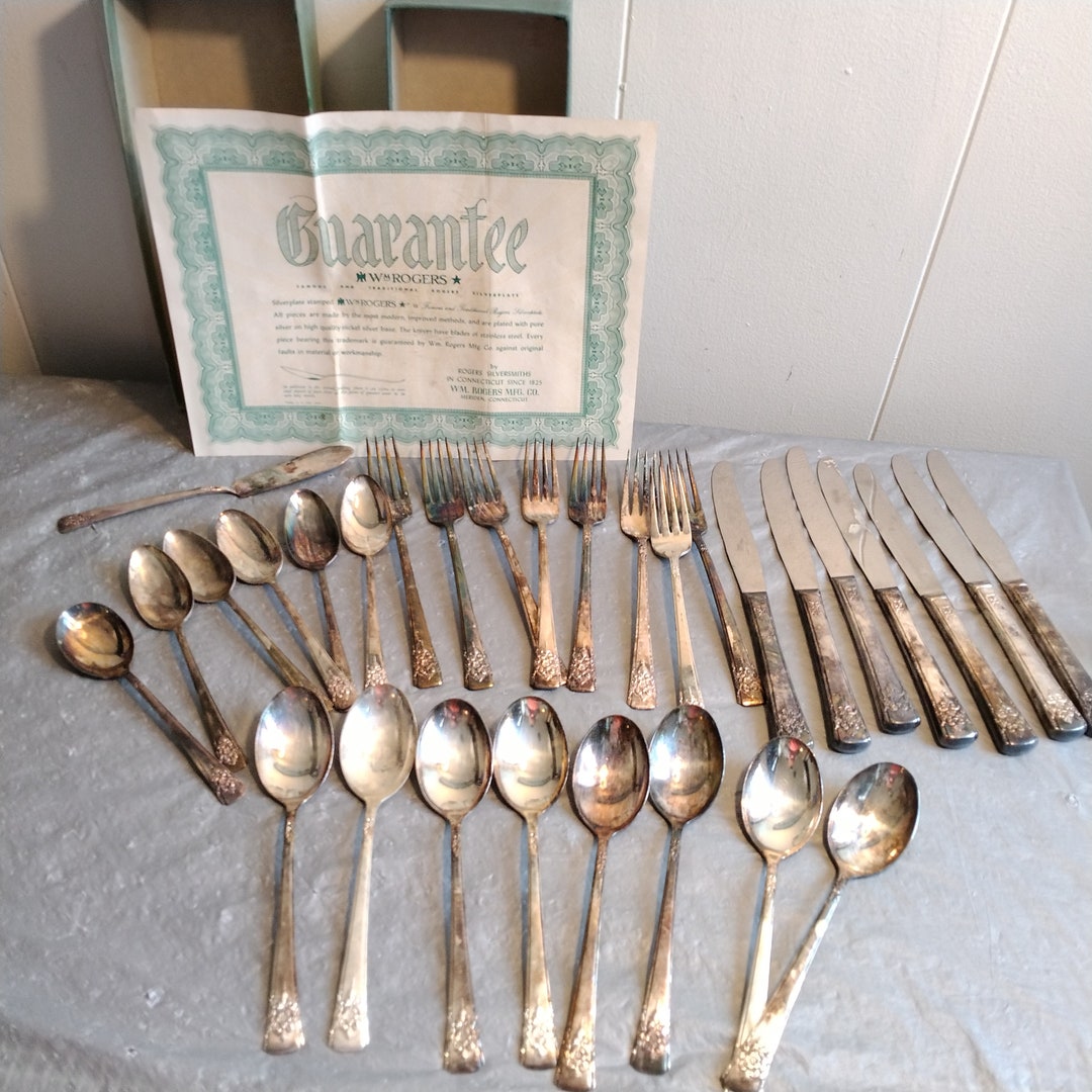 30 Pc Vintage Wm Rogers Mountain Rose Silverware Flatware Set - Etsy