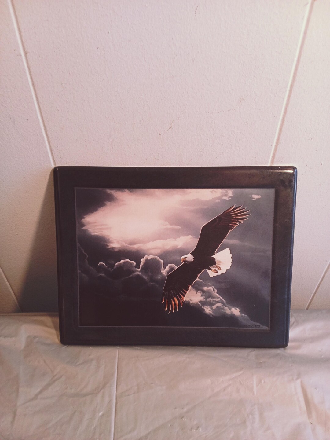 Bradford Exchange Soaring Sovereign by Jerry Issac Plaque Wings of ...