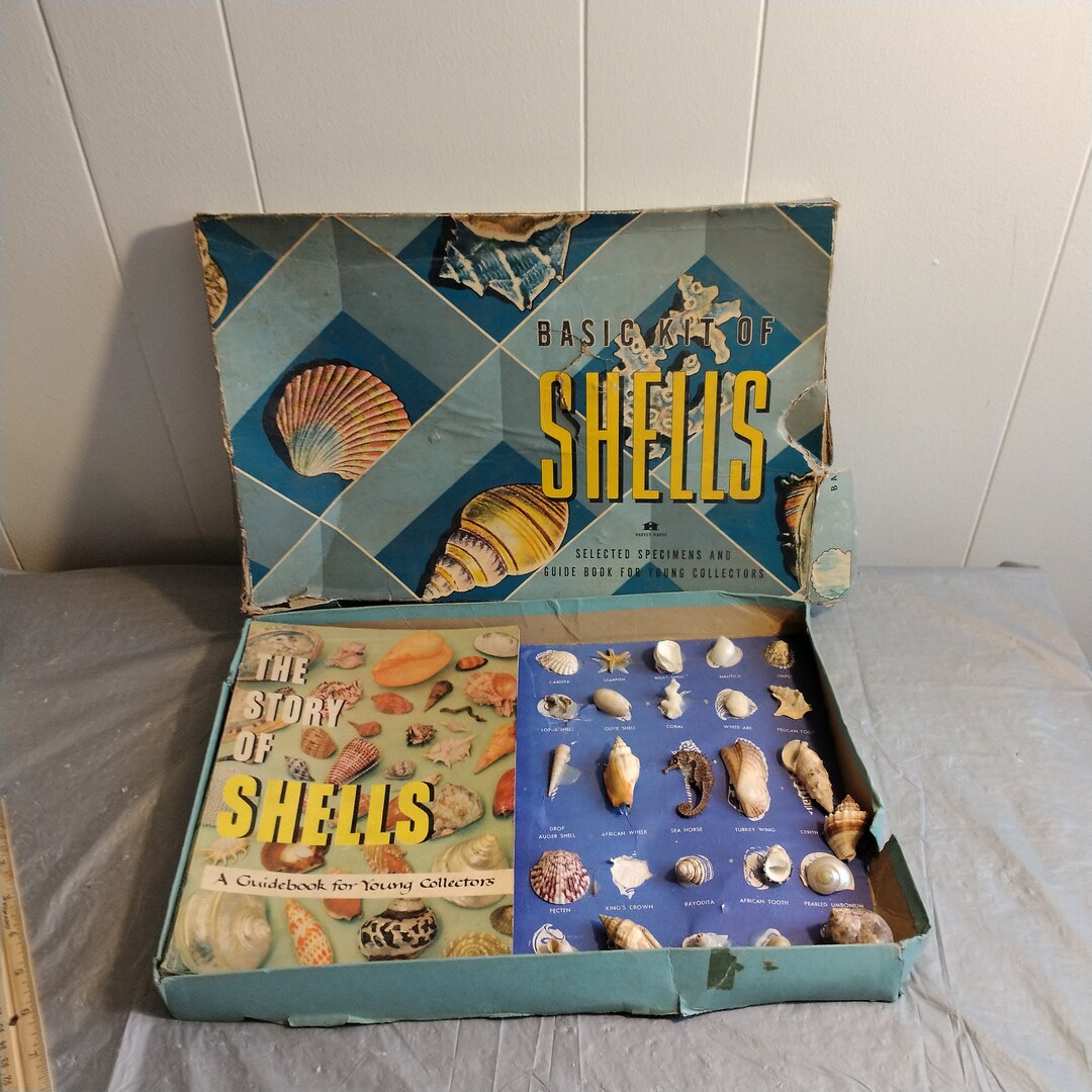1956 ZE Harvey Seashell Kit With Booklet, Seashell Lot Seahorse - Etsy