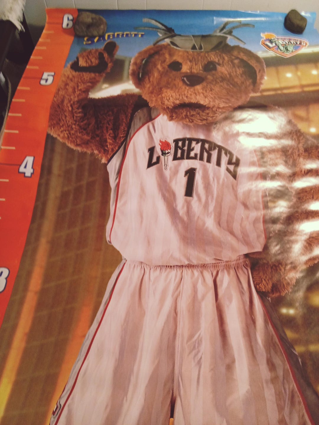 6ftx36" WNBA NY Liberty Mascot Poster - Etsy