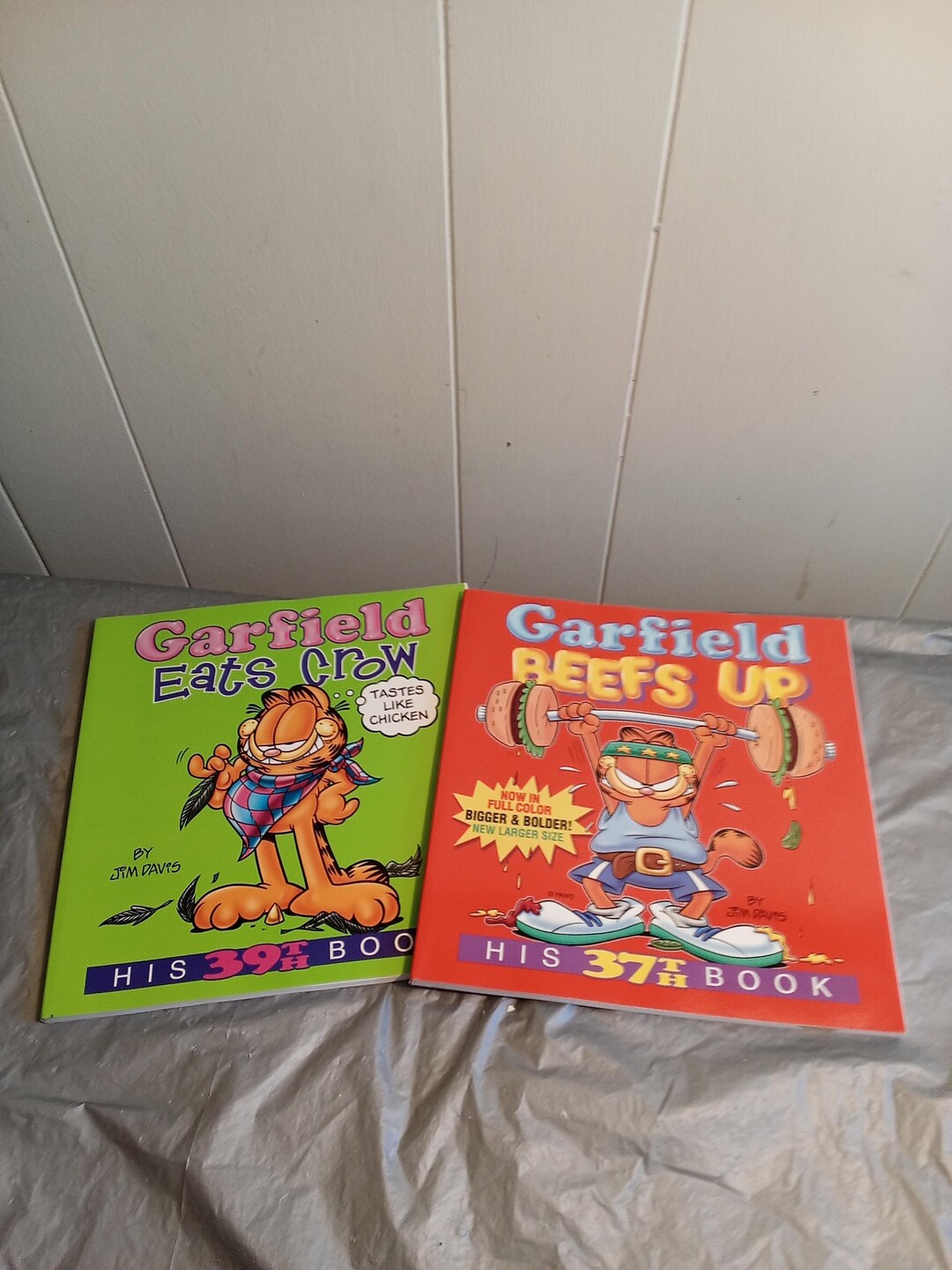 2 Garfield Story Books, 1st Ed, Garfield Eats Crow, Garfield Beefs Up ...