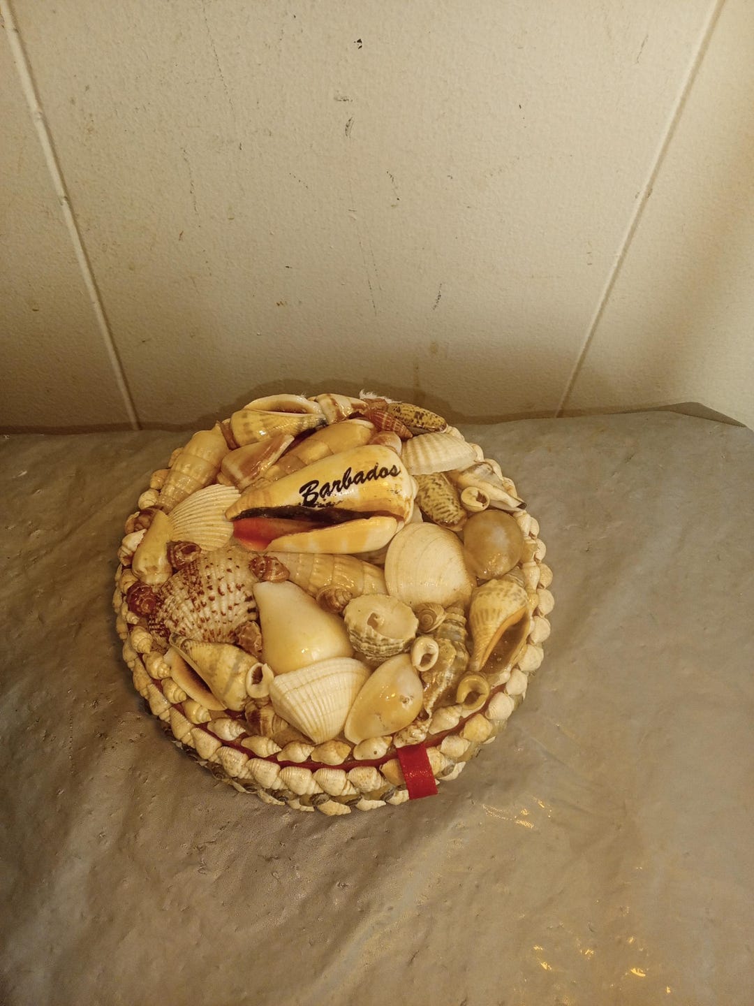 Vintage Barbados Souvenir Seashell Trinket Box, Nautical Beach Decor - Etsy