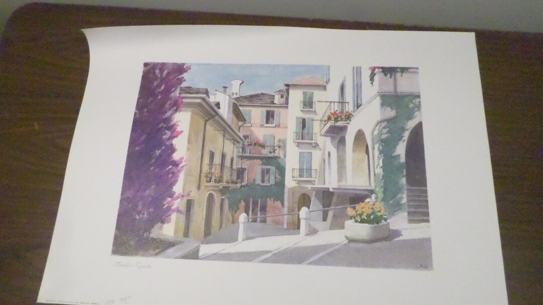 Vintage Sandro Guidi Art Print, Serie Buganvillea N. 12, 27 1/2 X 19 1/ ...
