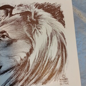 Mid Century Vintage Walter Edward Blythe Dog Print, Collie - Etsy