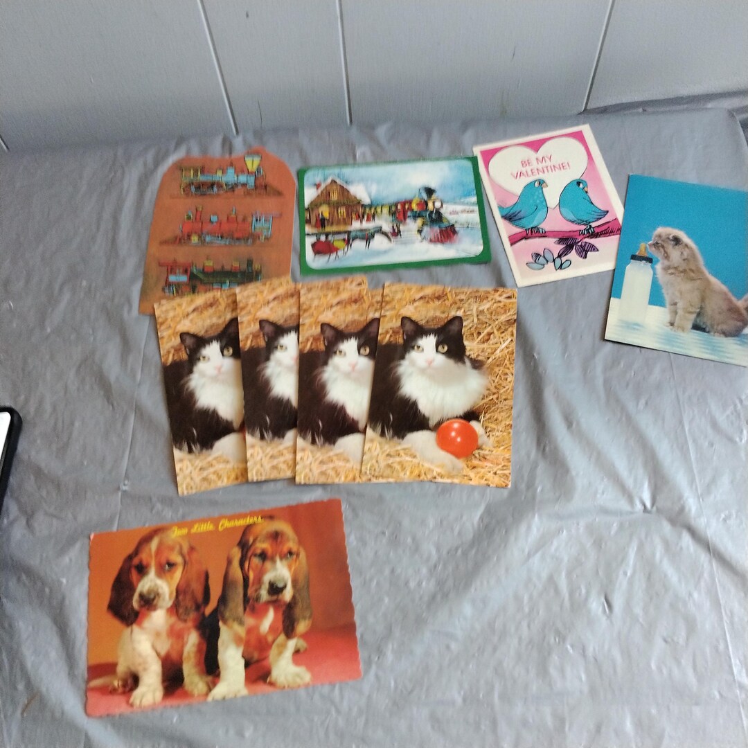 10 Vintage 80s Animal Cat Dog Postcards - Etsy