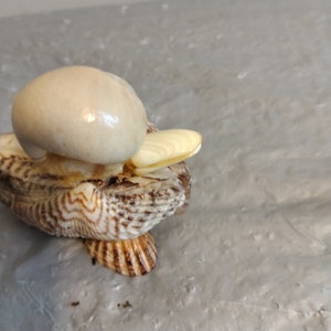 2 Seashell Duck Figurines, Ducks Made From Seashells, Beach Nautical ...
