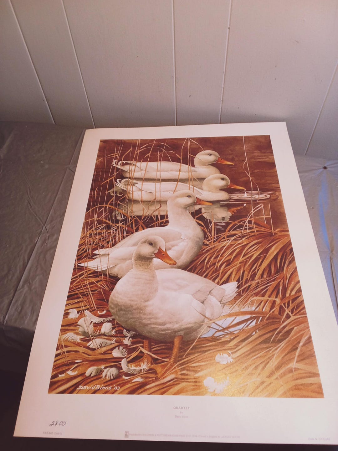 Vintage 1980s Quartet by David Binns Print, Duck Print - Etsy UK