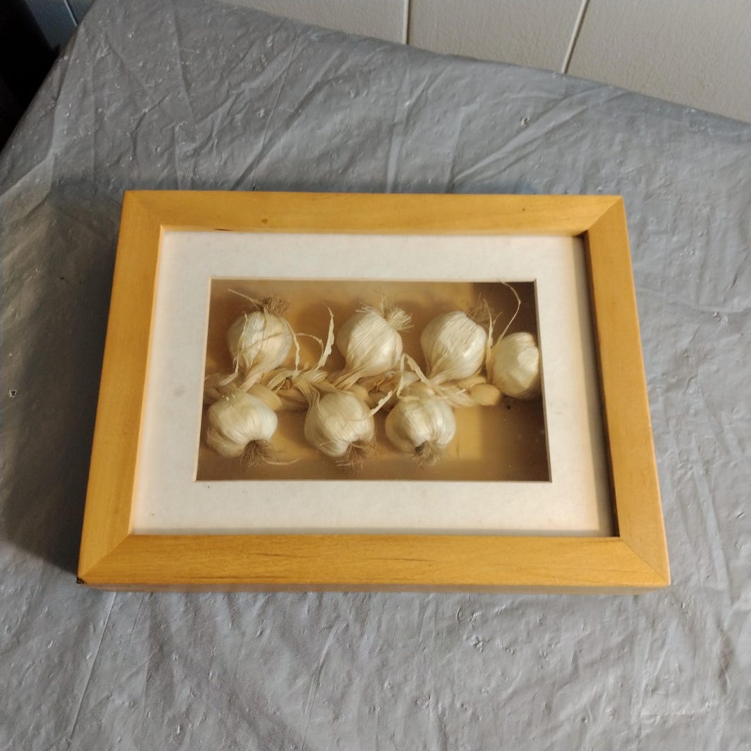 Shadow Box Framed Real Garlic Wall Hanging, Kitchen Decor - Etsy