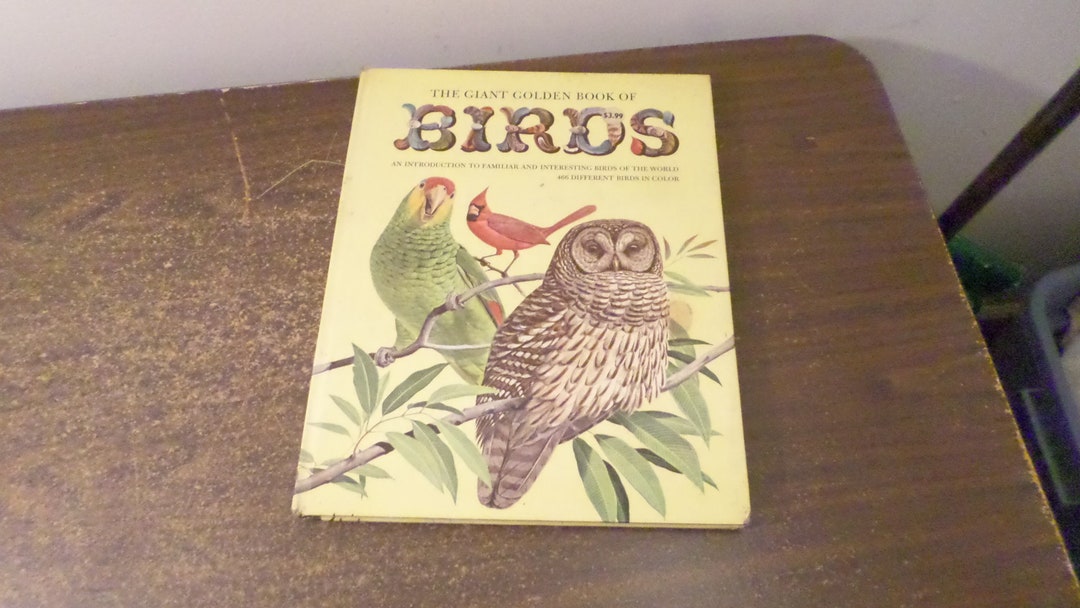 1962 the Giant Golden Book of Birds by Robert Porter Allen - Etsy