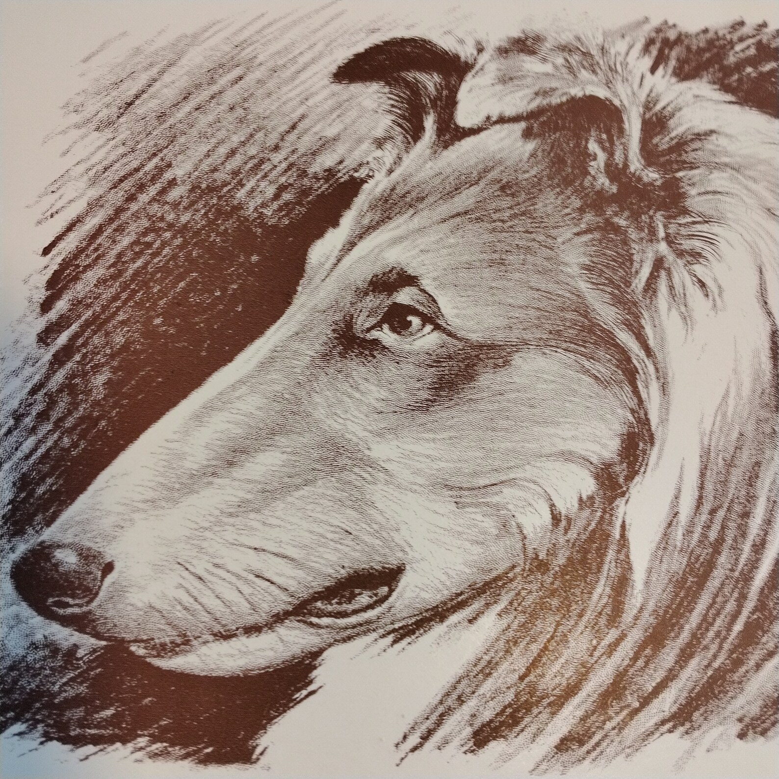 Mid Century Vintage Walter Edward Blythe Dog Print, Collie - Etsy