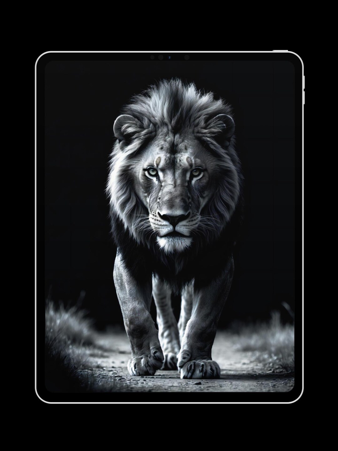 Powerful African Lion Digital Art Print – Front Profile | High-quality ...