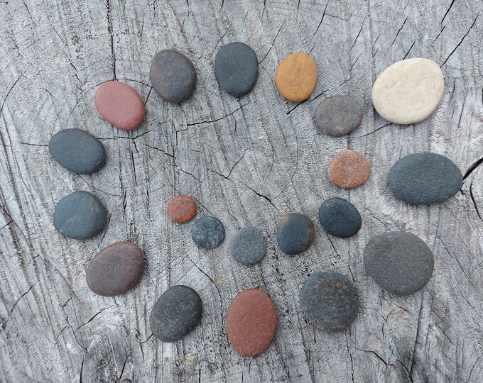 Flat Beach Stones Natural Stones for Craft Projects Sea Stones Pebble ...