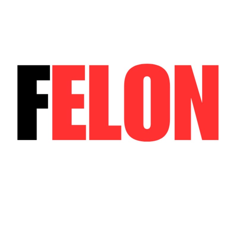 FELON Vinyl Sticker – 2x2 Inch Anti-elon Musk Decal, Political Protest ...