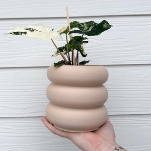 Minimalistic Bubble Pot 4.75" - Etsy