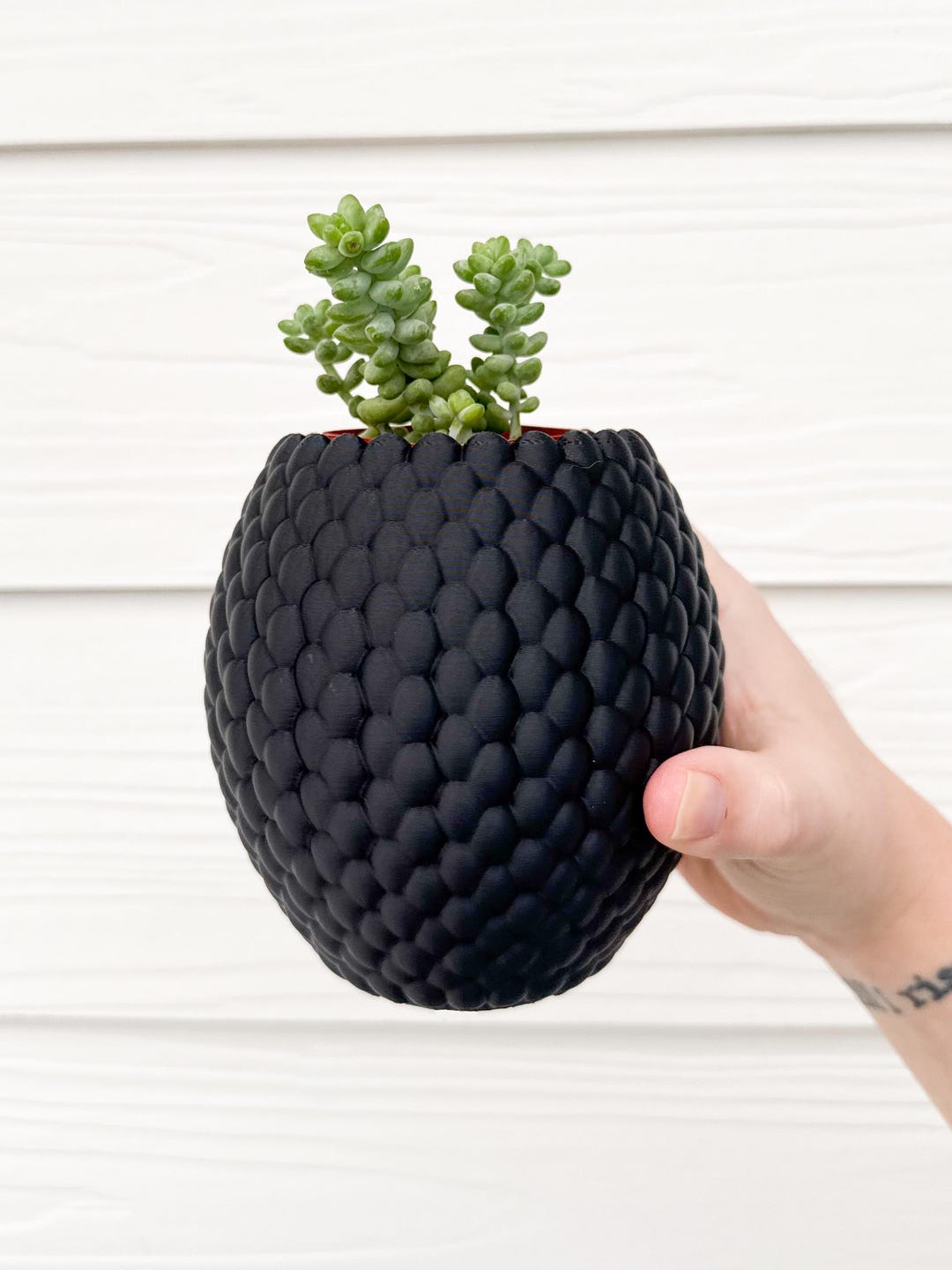 Enchanting Dragon Egg Planter - A Magical Touch for Your Home - Etsy