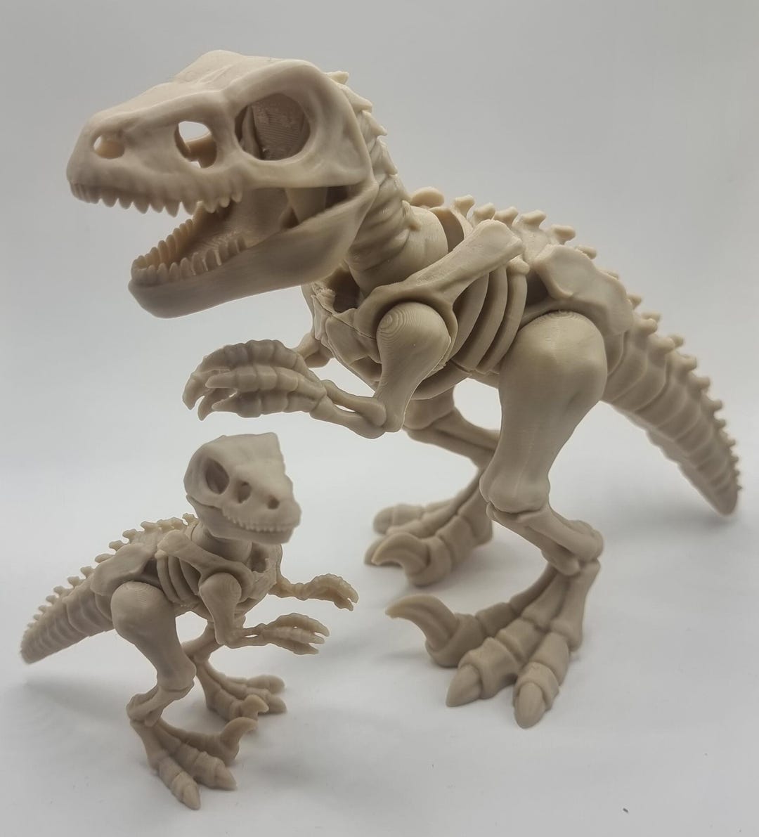 Articulated Raptor Skeleton. Flexi Dinosaur Figurine. - Etsy