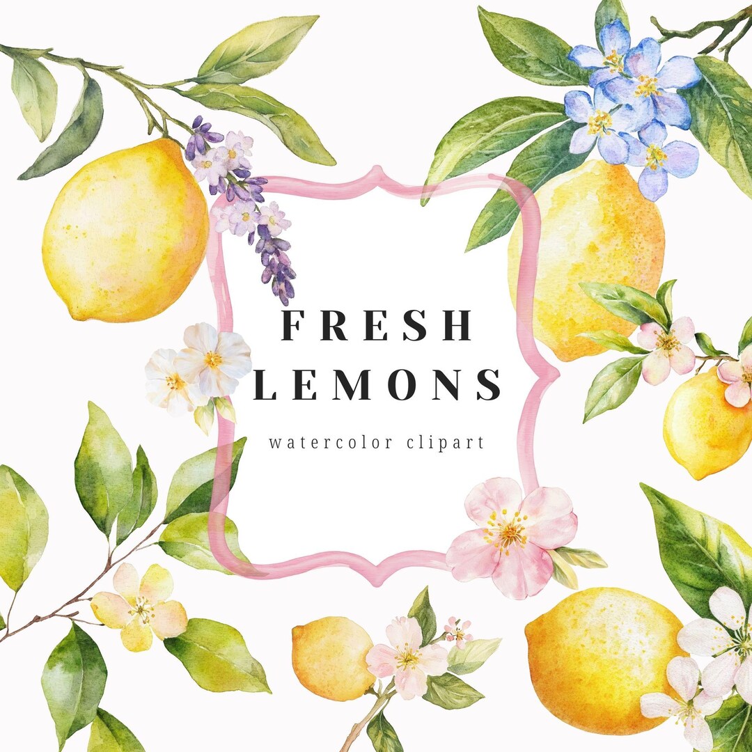 Citrus Watercolor Floral Clipart, Digital Botanical PNG, Wedding ...