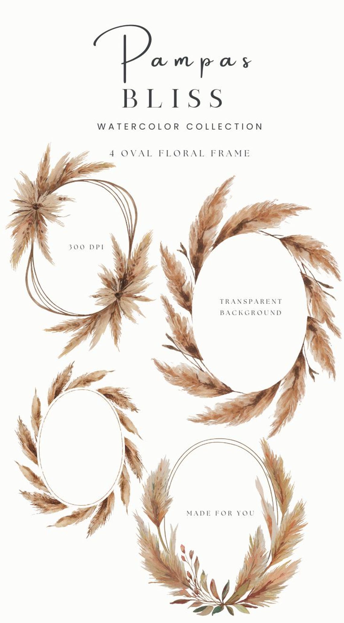 Pampas Grass Clipart, Border Frame, Floral Wreath, Commercial Use, Wild ...