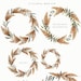 Pampas Grass Clipart, Border Frame, Floral Wreath, Commercial Use, Wild ...