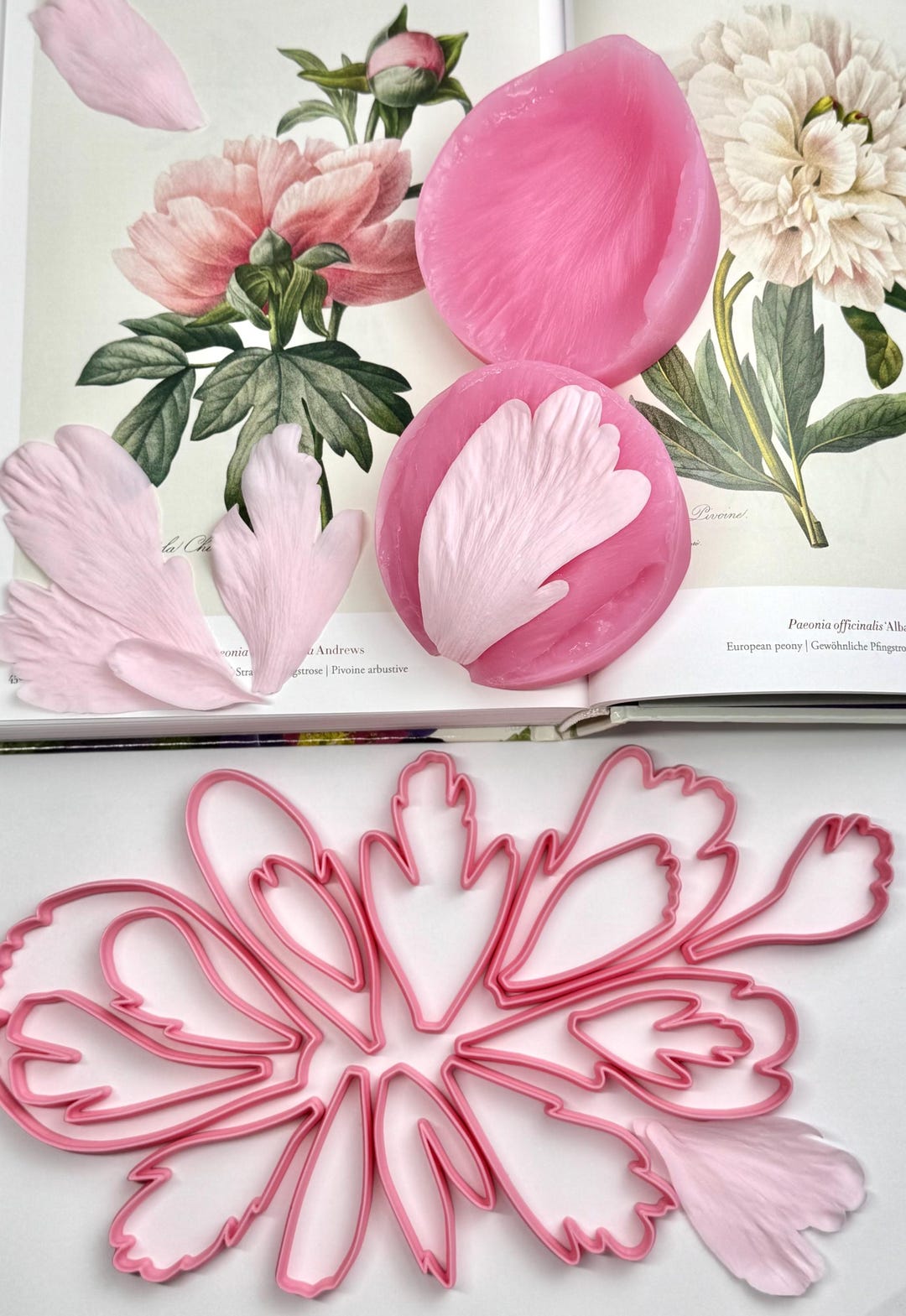 Large Peony Petal Veiner Double-sided Silicone Mold Peony Cutters Set ...