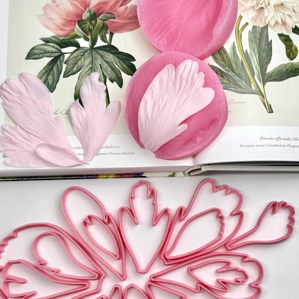 Sugar Paste Silicone - Etsy
