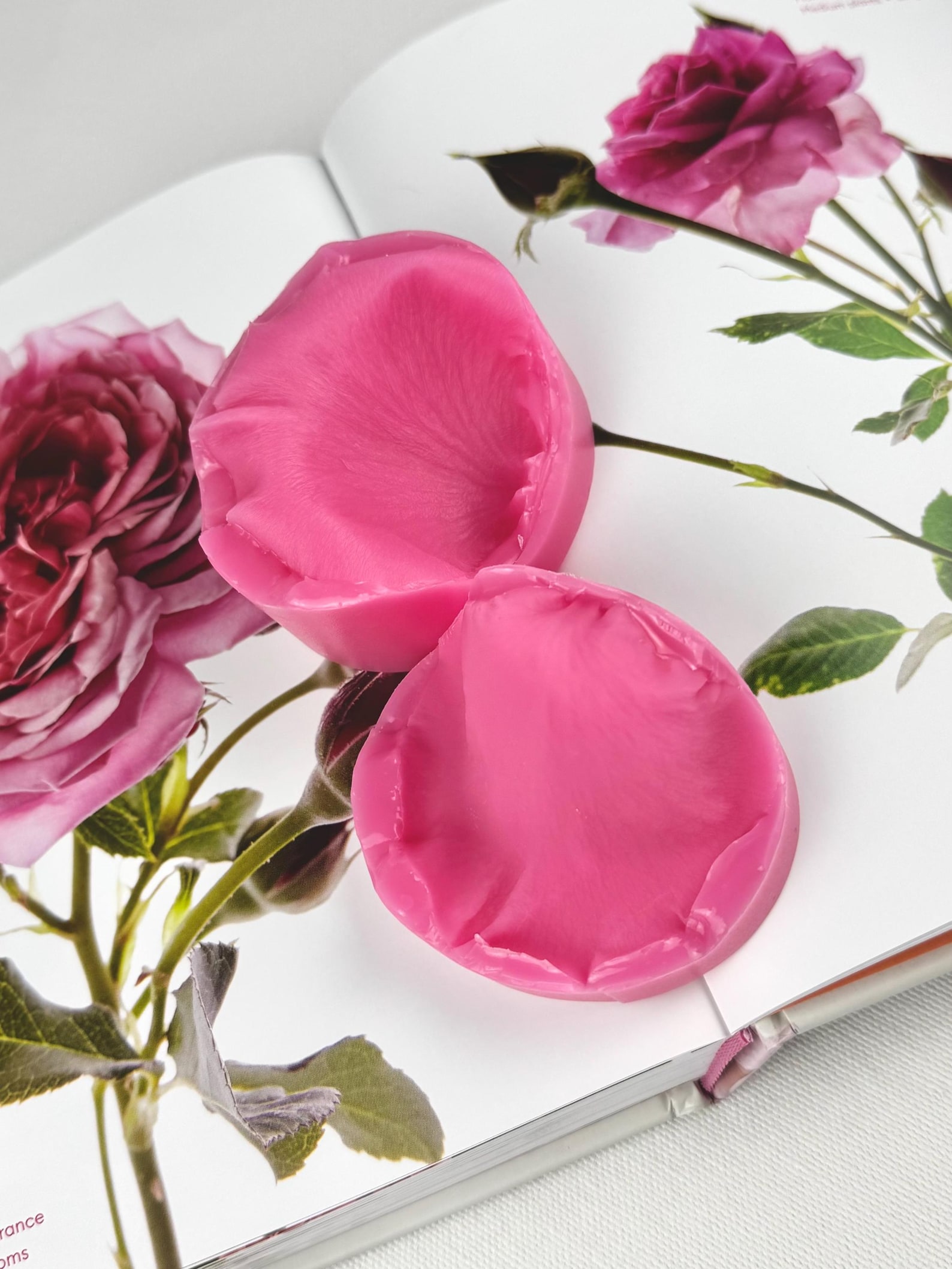 Double-sided Rose Petal Veiner & Cutter Set – Flower Shaper Press for ...