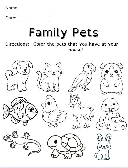 Family Pets Worksheet | Pet Matching Activity | Preschool & Pre-k ...
