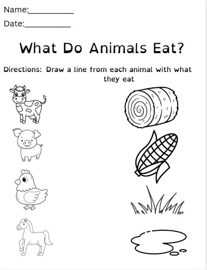 Farm Animals Food Matching Worksheet – Printable PDF Preschool Activity ...