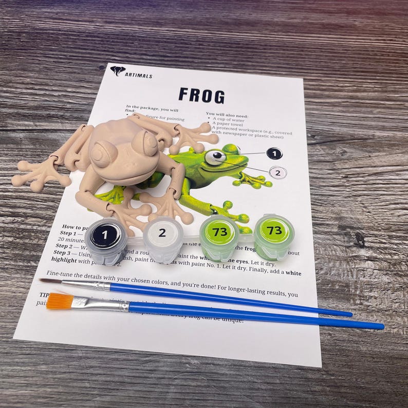 Paint Your Own 3D Frog - DIY 3D Frog Coloring Kit - Fun Painting Craft ...