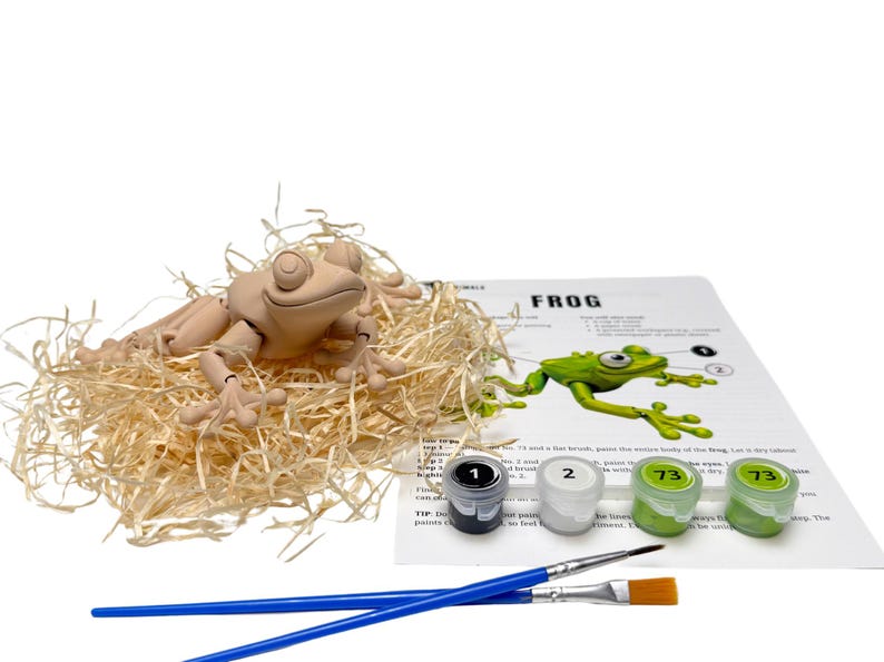 Paint Your Own 3D Frog - DIY 3D Frog Coloring Kit - Fun Painting Craft ...