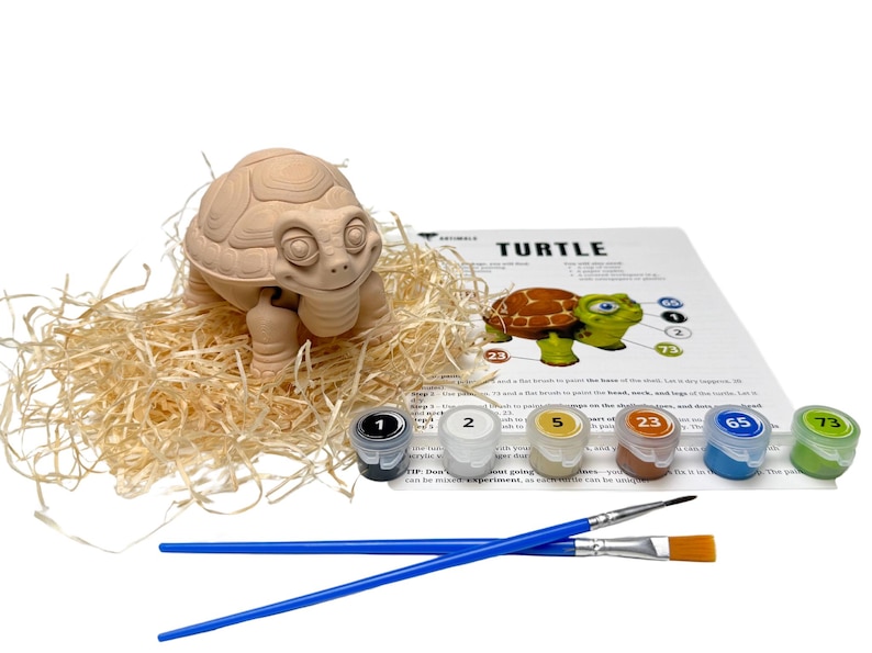 Paint Your Own 3D Turtle - DIY 3D Turtle Coloring Kit - Creative Craft ...