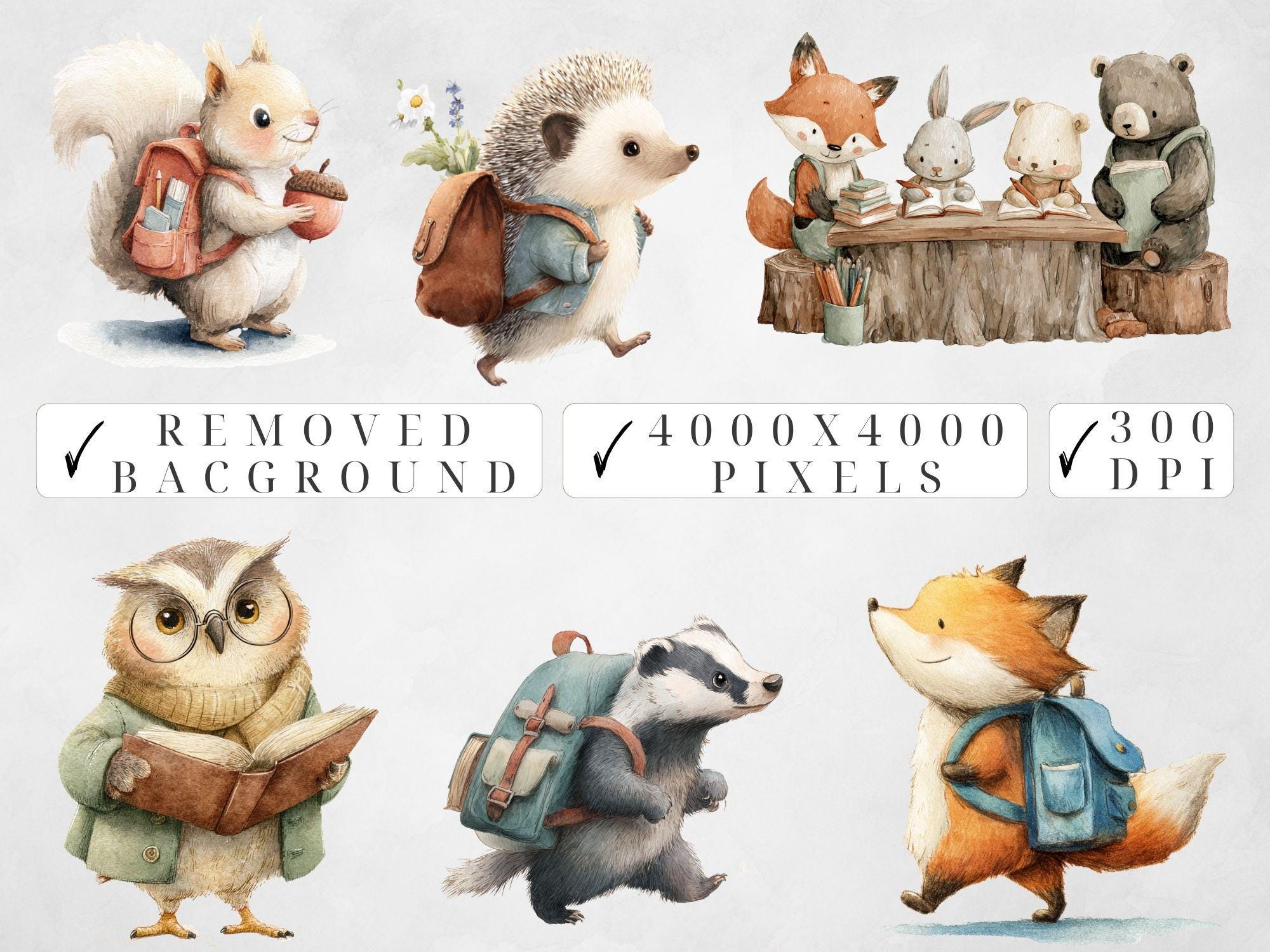 Woodland School Clipart, Cute Animals Digital Download, Back to School ...