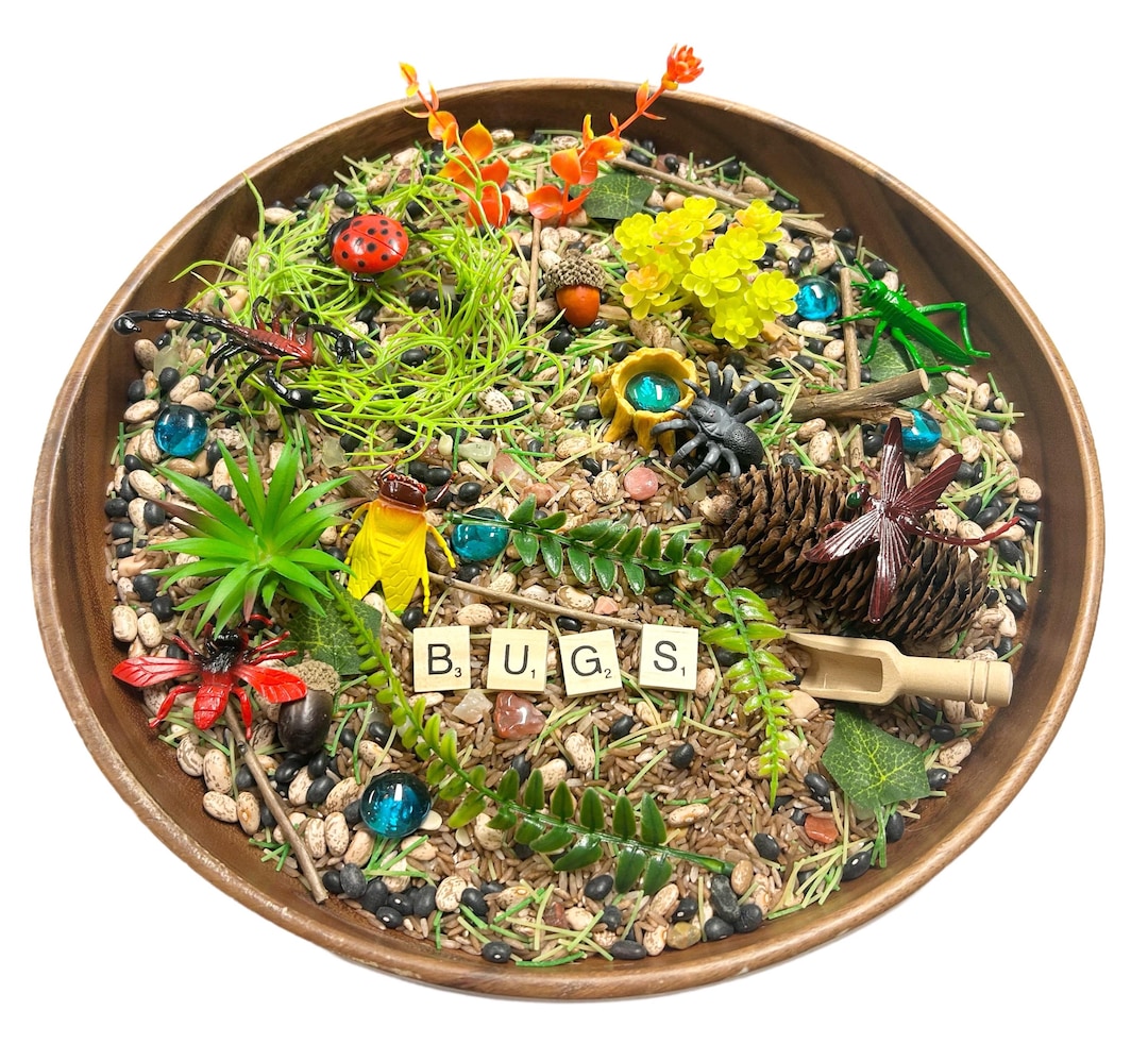 Bug Sensory Bin Filler Kit, Insect Personalized Kids Acitivity, Toddler ...