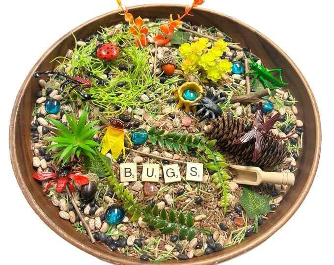 Bug Sensory Bin Filler Kit, Insect Personalized Kids Acitivity, Toddler ...