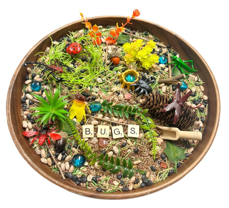 Bug Sensory Bin Filler Kit, Insect Personalized Kids Acitivity, Toddler ...