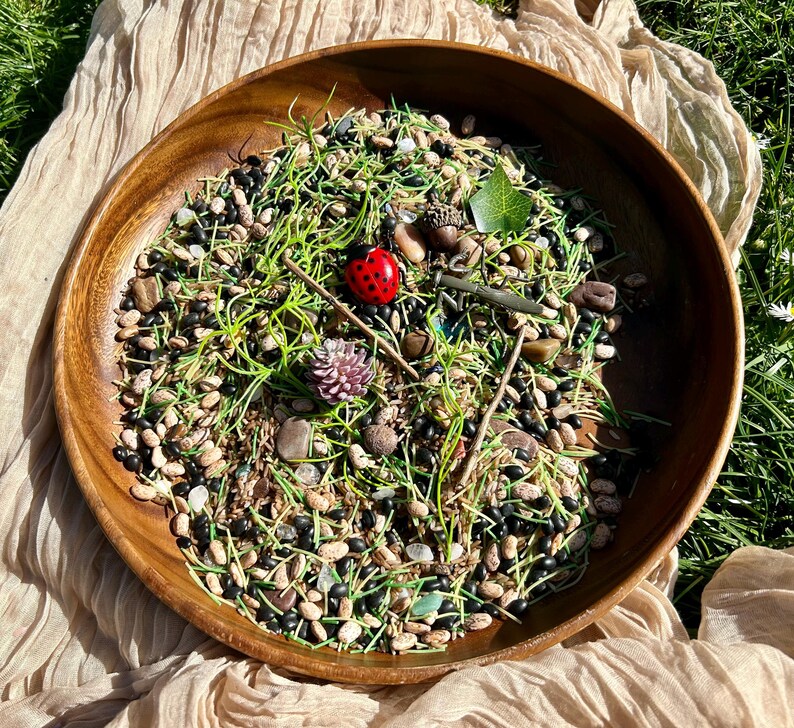 Bug Pour and Play Mini Sensory Bin Filler Kit, Insect, Screen Free Kids ...