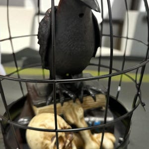 Crow in Cage Halloween Prop – Flapping & Screaming Bird – Haunted Decor ...