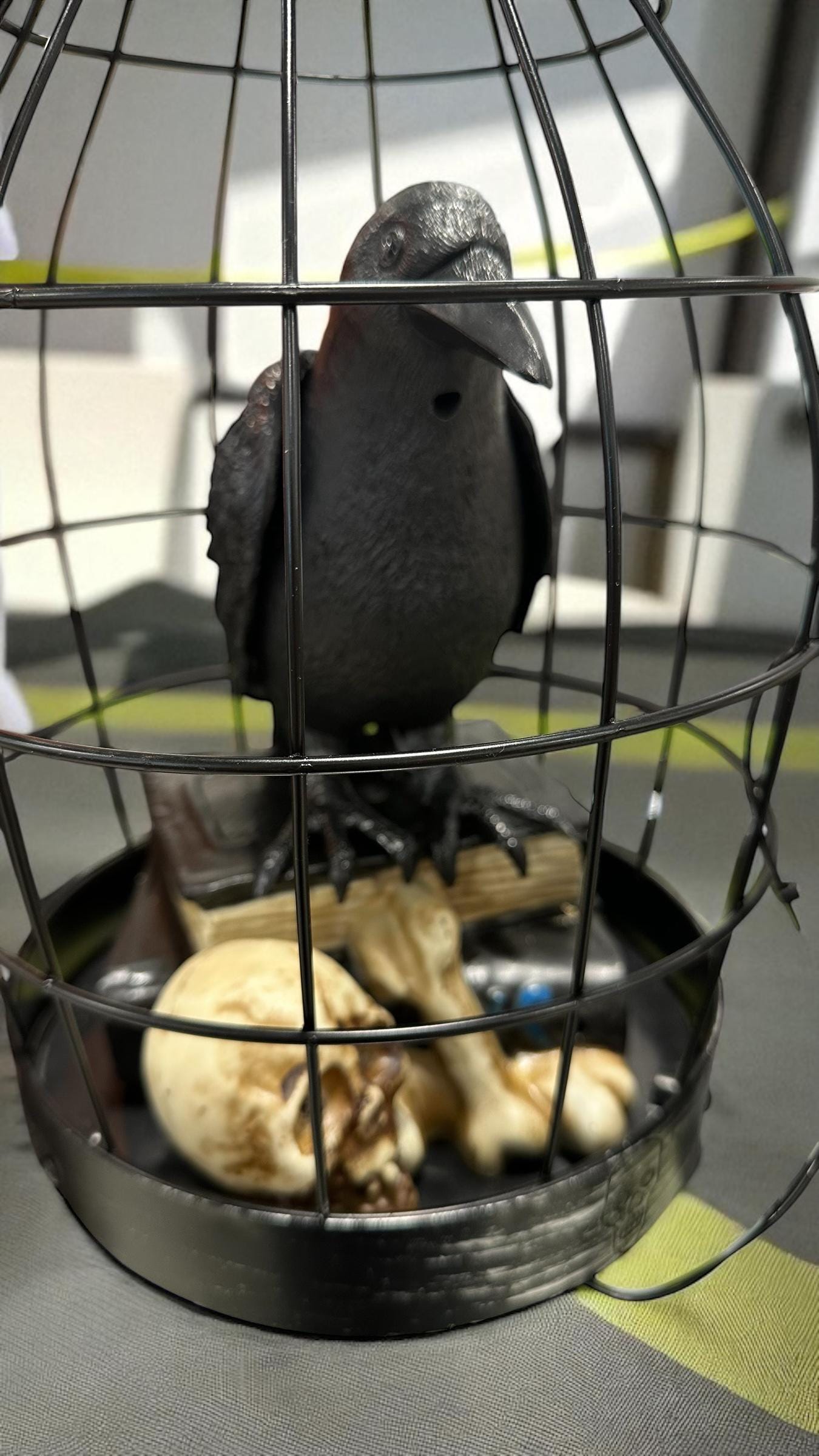 Crow in Cage Halloween Prop – Flapping & Screaming Bird – Haunted Decor ...