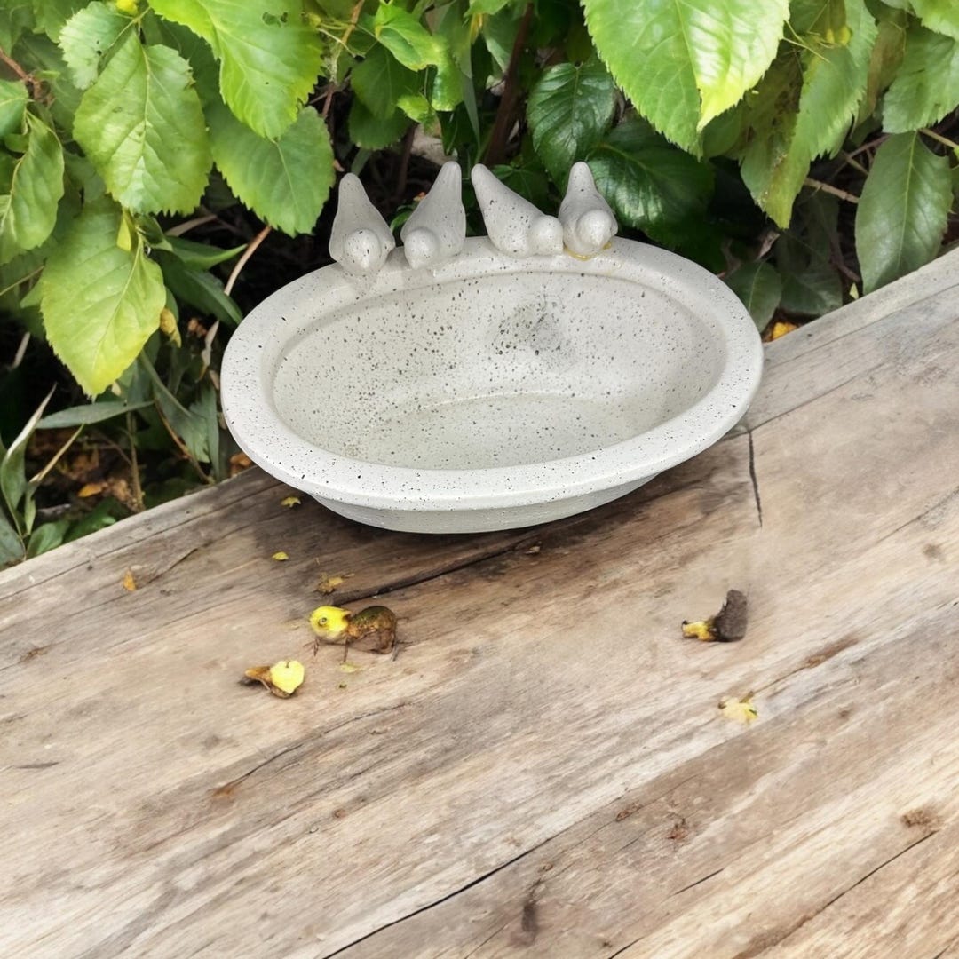Bird Bath Handmade Plaster | Wide Bird Feeder Bowl | Outdoor Garden ...