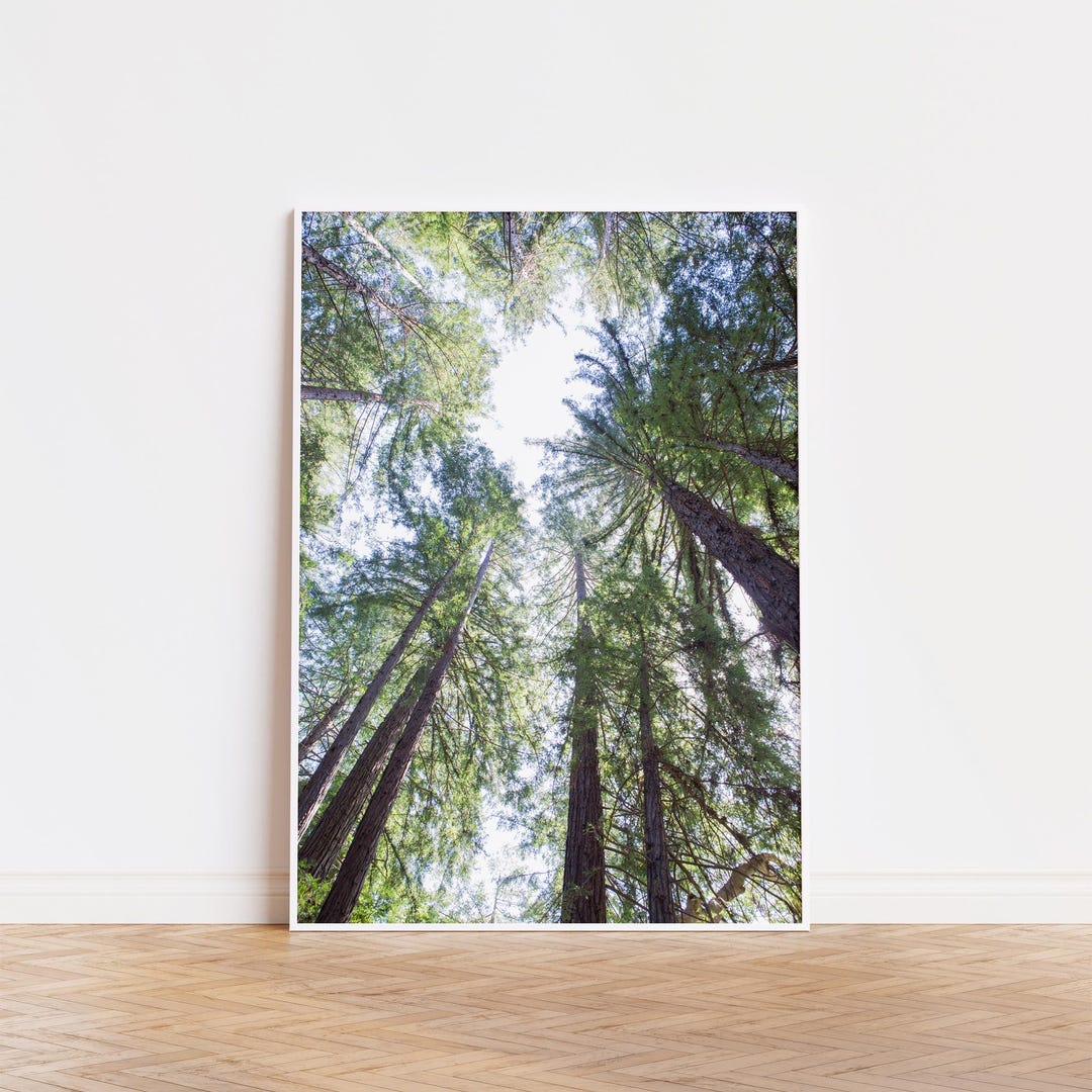 Tree Canopy Art, Rustic Forest Wall Art, Nordic Forest Poster ...
